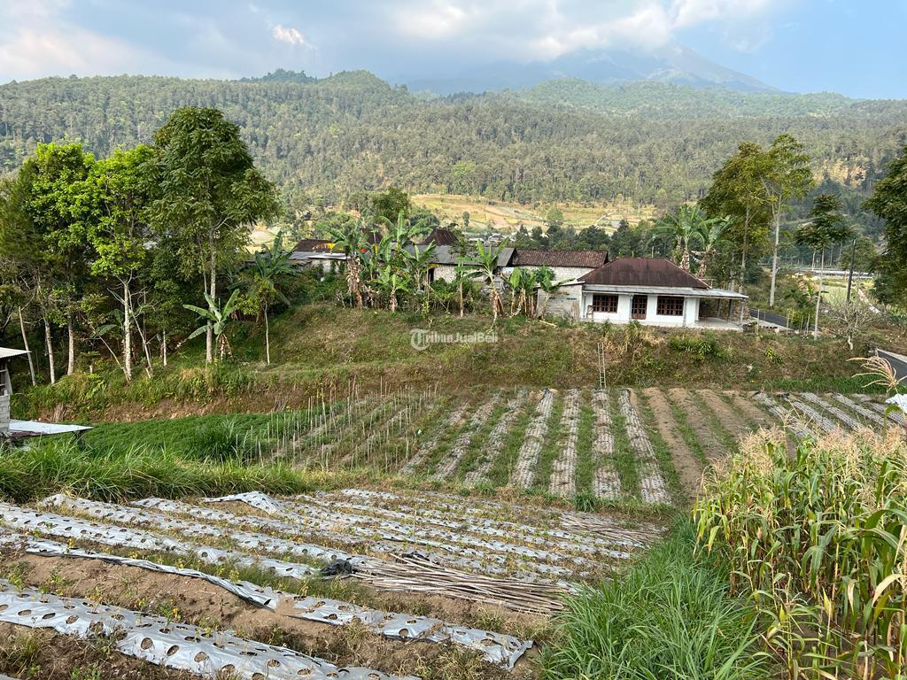 Jual Tanah Luas 240m Dekat Telaga Madirda Kemuning di Karanganyar ...