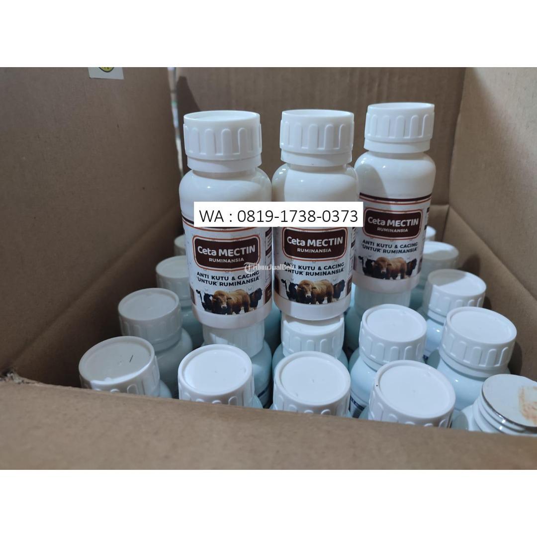 Obat Untuk Menghilangkan Kutu Sapi di Grobogan - Tribun JualBeli