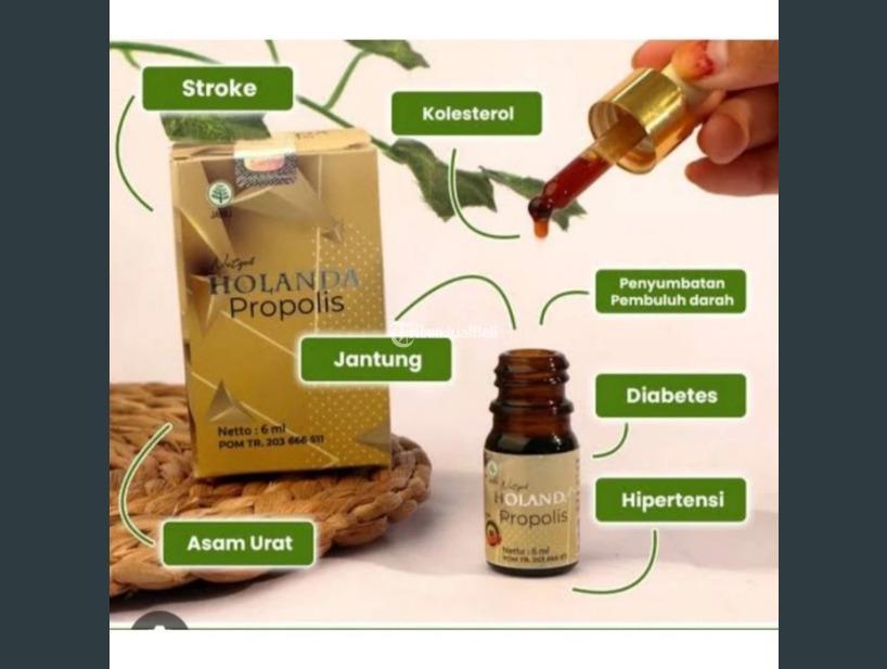 Holanda Propolis Original Asli Obat Asam Urat Hipertensi Aman Bpom di ...