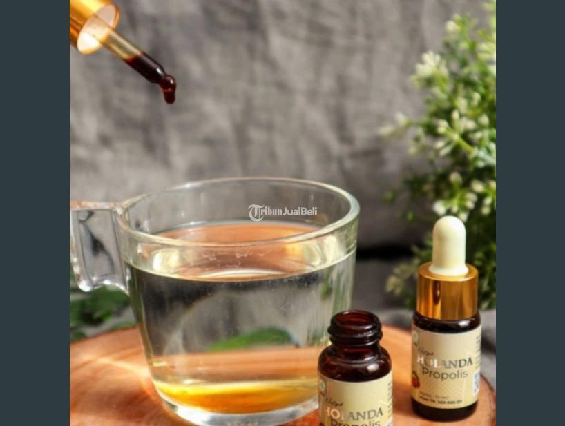 Holanda Propolis Original Asli Obat Asam Urat Hipertensi Aman Bpom di ...