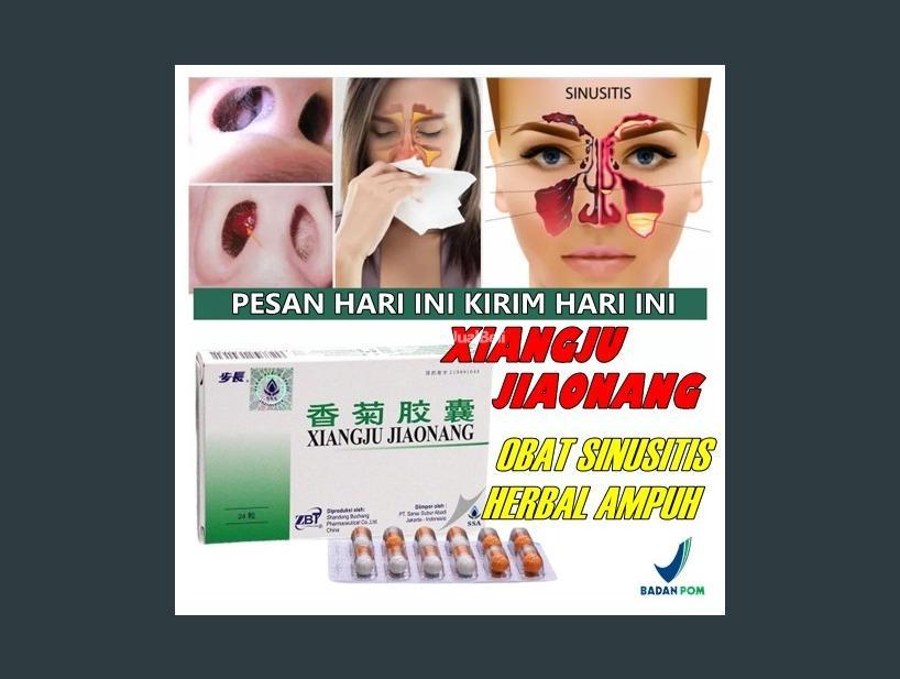 Obat Hidung Bau Ingus Sinusitis Paling Ampuh Buchang Xiangju Jiaonang di Jakarta Utara - Tribun ...