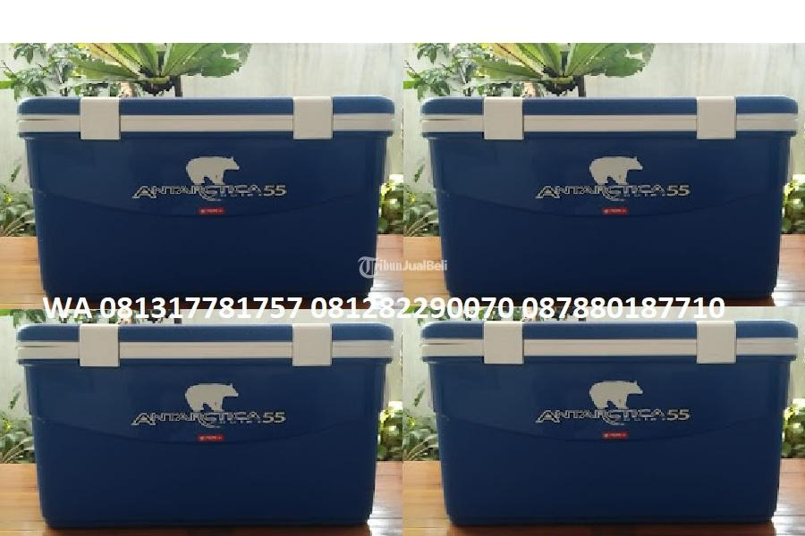 Sewa Cooler Box Besar Sebagai Termos Es Tempat Makanan dan Minuman ...