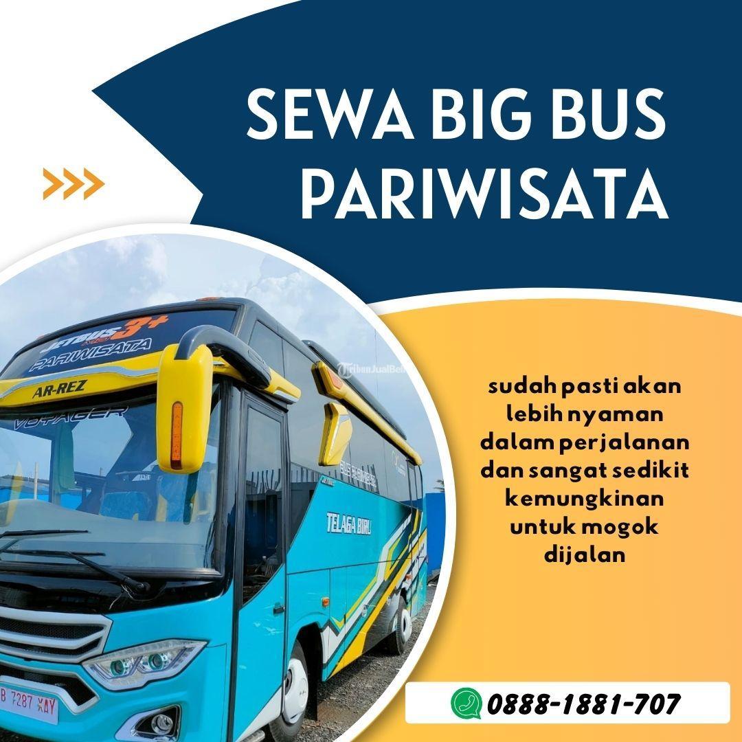 Jasa Sewa Big Bus Kapasitas 60 Orang di Malang - Tribun JualBeli
