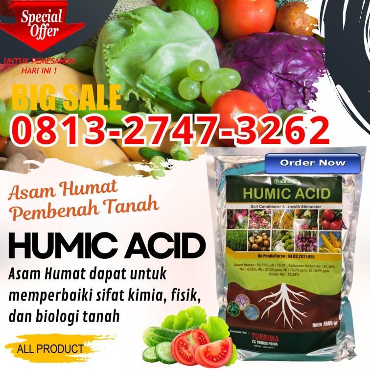Asam Humat Humic Acid 25Kg untuk Anggur di Kebumen - Tribun JualBeli