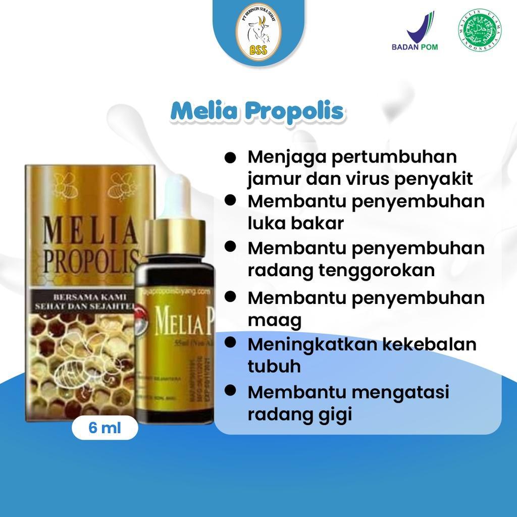 Melia Propolis Original 100 Asli 55 ML dan 6 ml Kemasan Terbaru Bpom di ...