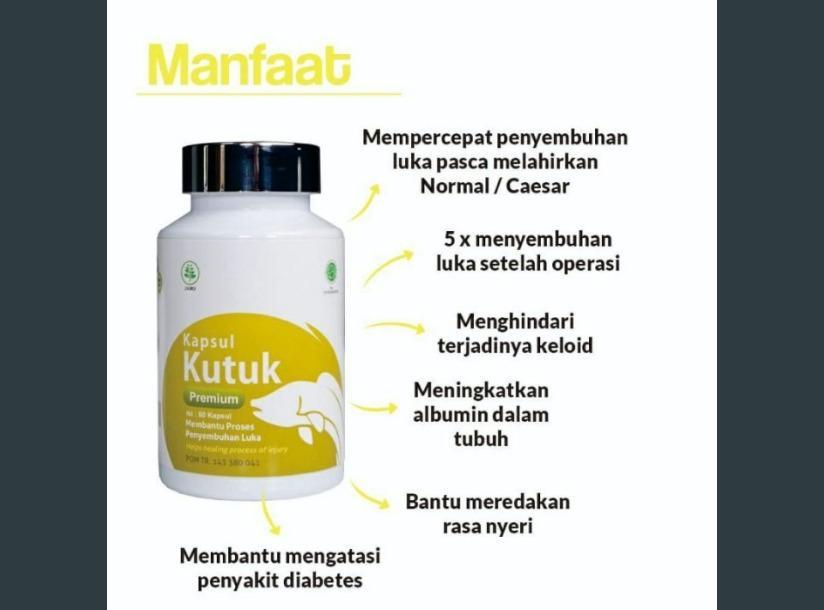 Kapsul Kutuk Premium Original Pil Ikan Gabus Obat Setelah Operasi di ...