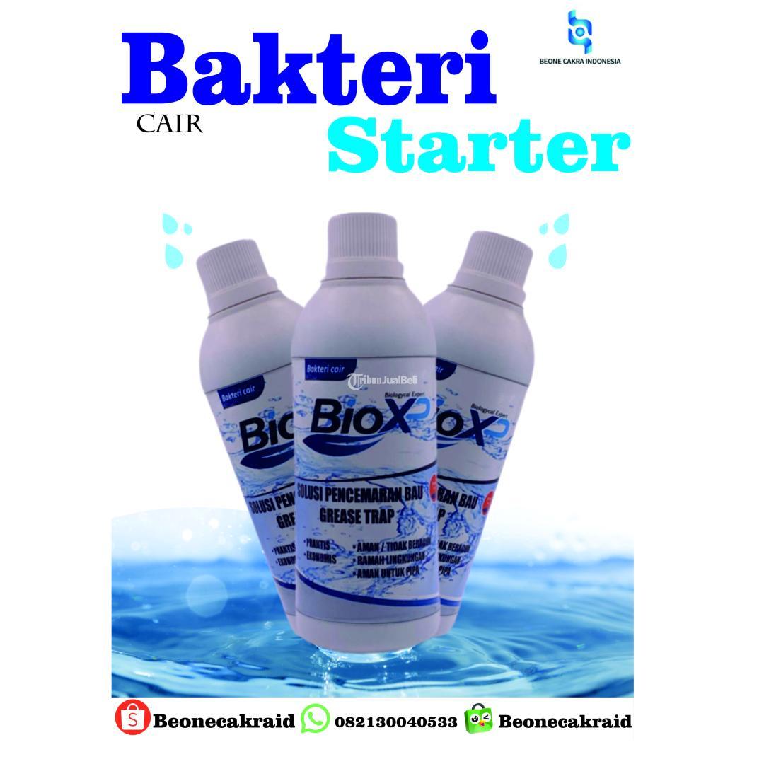 Bakteri Starter Beone Cakra Indonesia Bonus Cashback di Bogor - Tribun ...