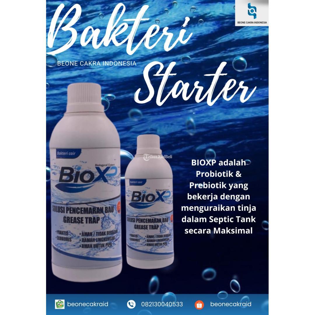 Bakteri Starter Beone Cakra Indonesia di Bogor - Tribun JualBeli