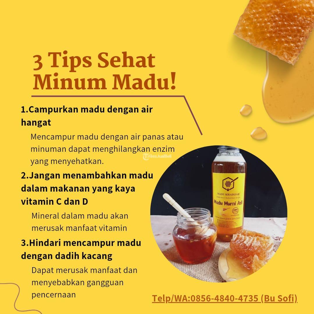 Madu Murni Asli Untuk Asam Lambung di Bangkalan - Tribun JualBeli