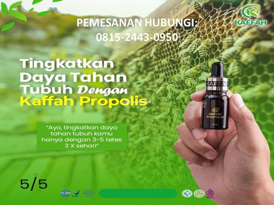 Kaffah Propolis Atasi Ambiyen Terbaik Harga Terjangkau di Jakarta Barat ...