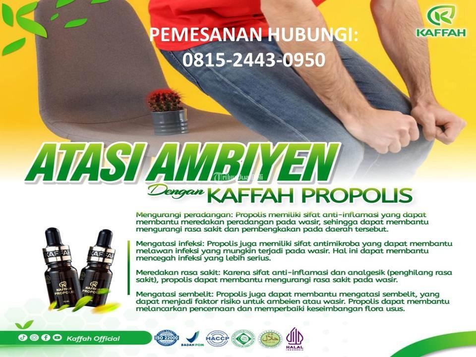 Kaffah Propolis Atasi Ambiyen Terbaik Harga Terjangkau di Jakarta Barat ...