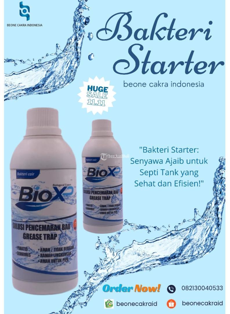 Free Ongkos Kirim 11.11 Bakteri Starter Beone Cakra Indonesia di Bogor ...