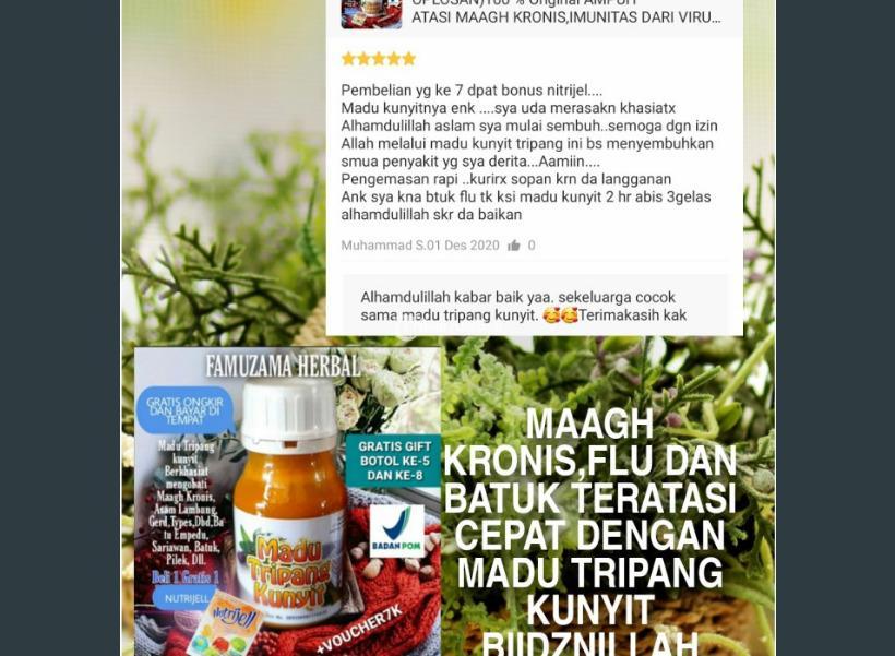 Madu Tripang Kunyit Obat Magh Akut Di Jakarta Utara Tribun Jualbeli