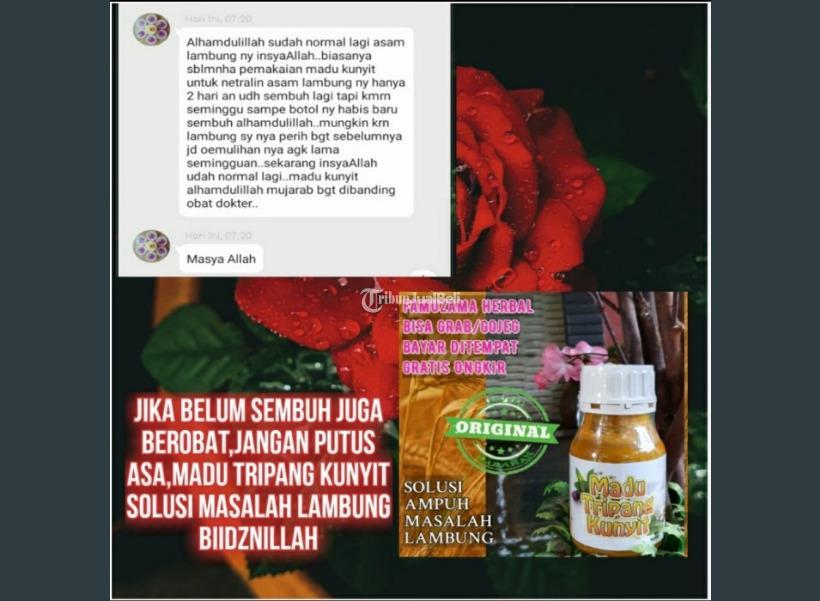 Madu Tripang Kunyit Obat Magh Akut Di Jakarta Utara Tribun Jualbeli