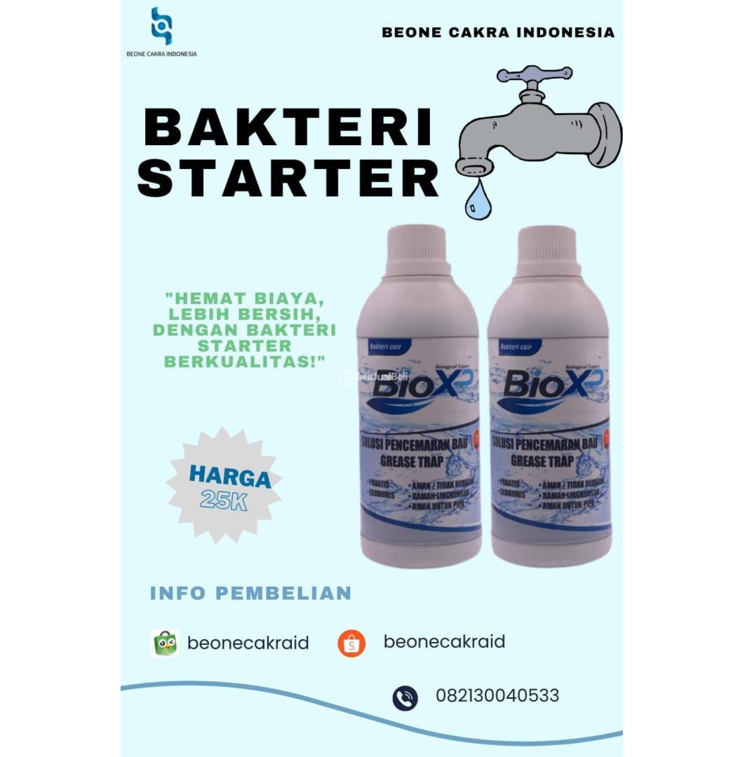 Miliki Segera Bakteri Starter Beone Cakra Indonesia di Bogor - Tribun ...