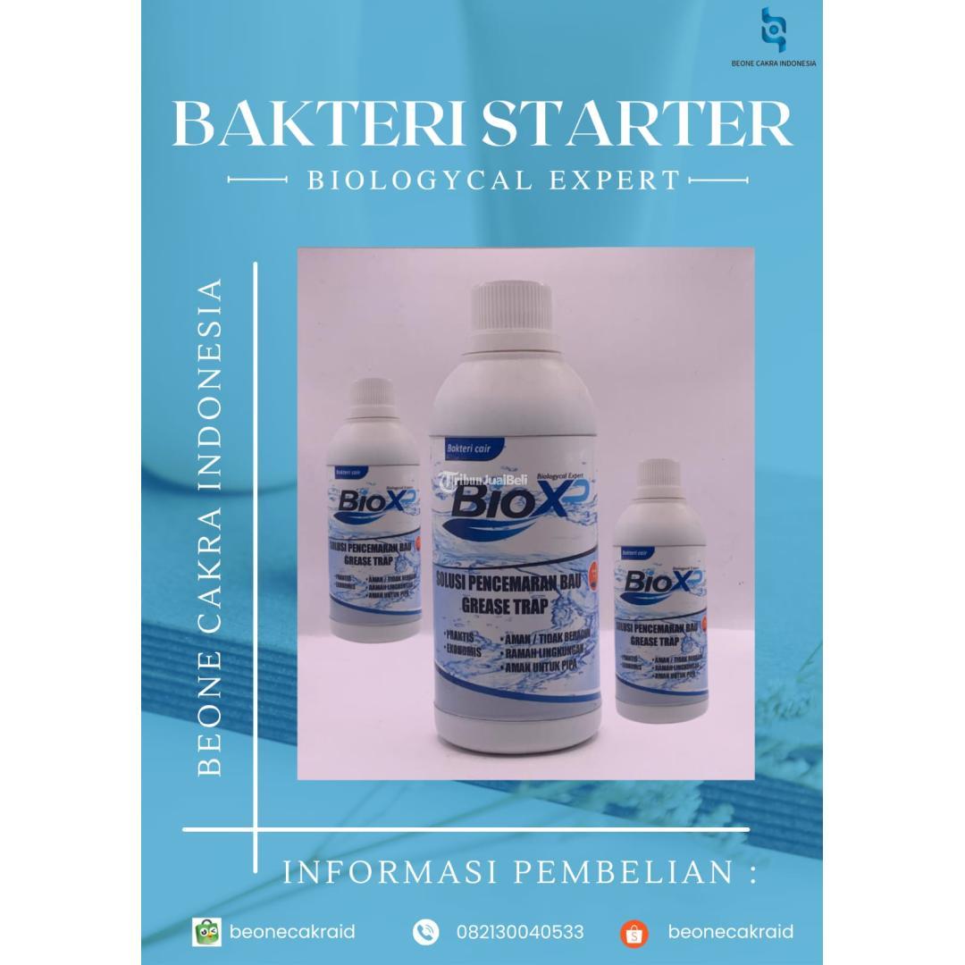 Miliki Segera Bakteri Starter Beone Cakra Indonesia di Bogor - Tribun ...
