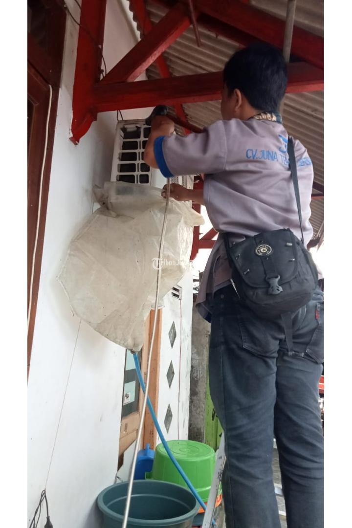 Layanan Cuci AC 2PK di Kedung Rukem di Surabaya - Tribun JualBeli