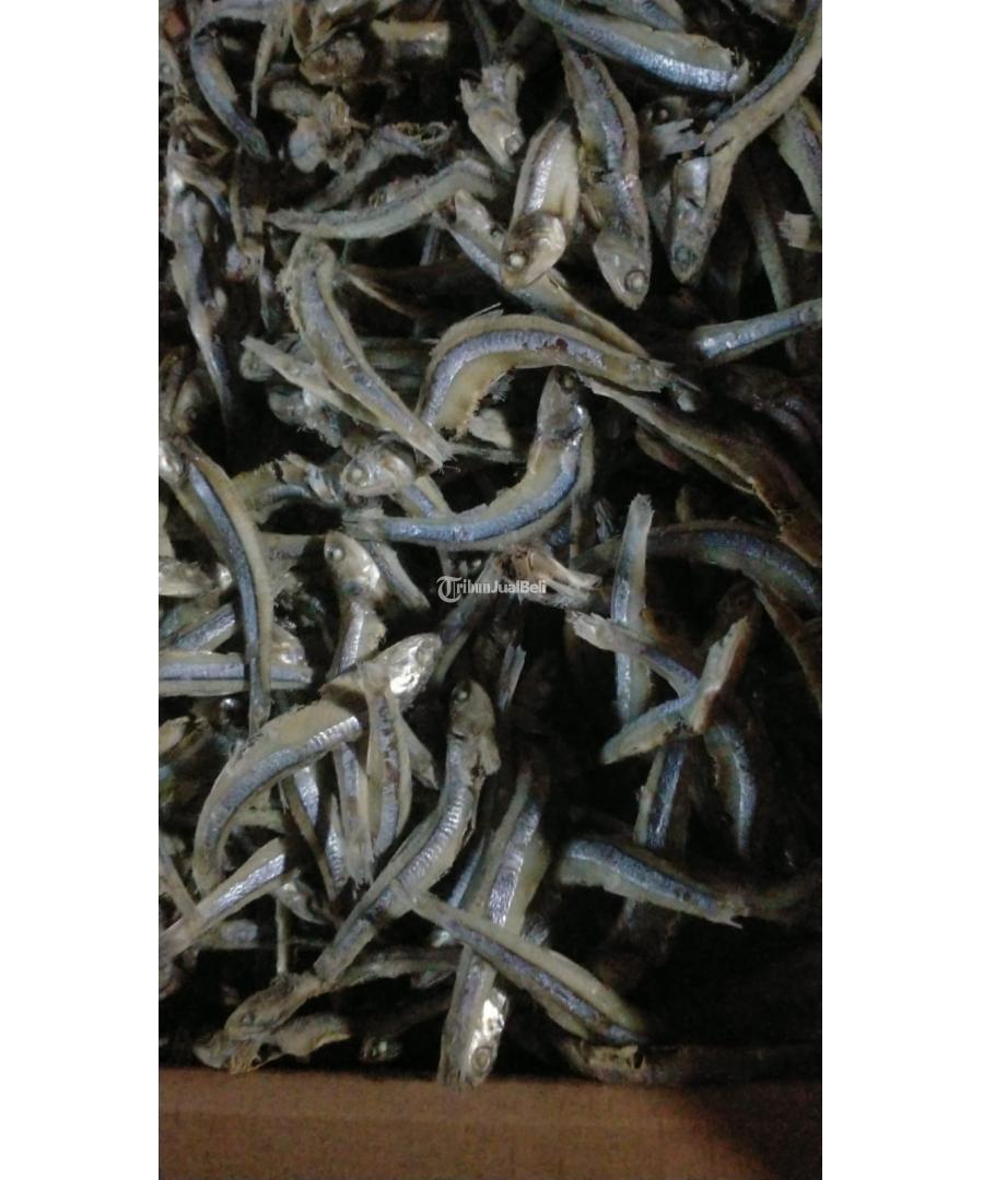 Terenak Ikan Asin Rebus Berkah Jaya Bahari di Lampung Timur - Tribun ...