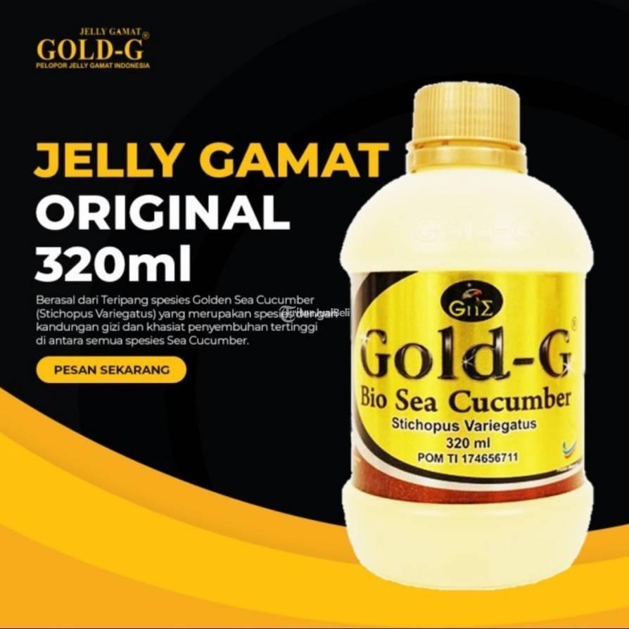 Jelly Gamat Gold G 500 ml 320 ml dan 100ml di Sleman - Tribun JualBeli