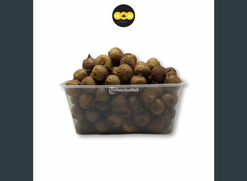 Black GarlicBawang Hitam Tunggal 500 grObat HipertensiBawang Lanang ...