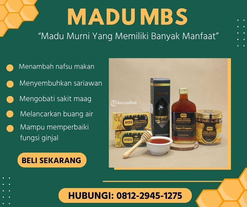 Madu Hutam MBS Murni Botolan Harga Terjangkau di Malang - Tribun JualBeli