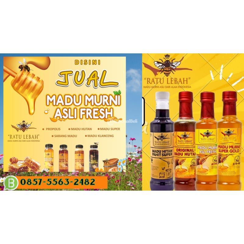 Madu Murni Akasia Harga Terjangkau di Madiun Kota - Tribun JualBeli