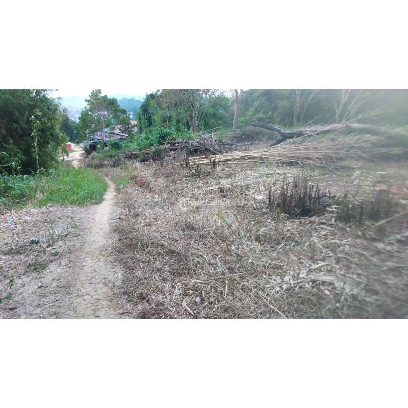 Dijual Sebidang Tanah - Tribun JualBeli