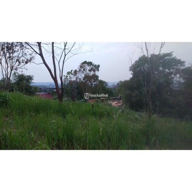 Dijual Sebidang Tanah - Tribun JualBeli