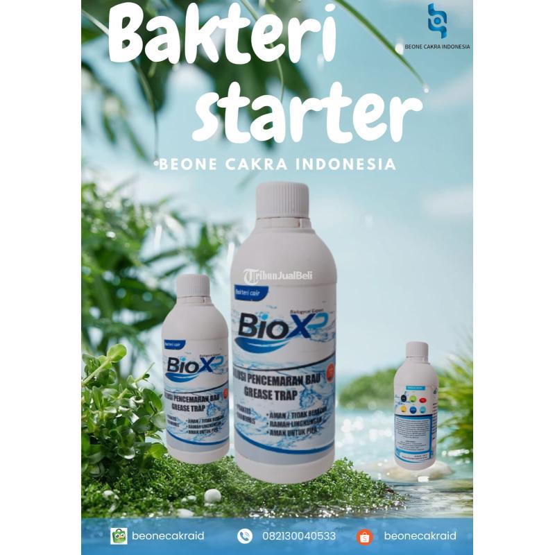 Bakteri Starter Beone Cakra Indonesia di Bogor - Tribun JualBeli