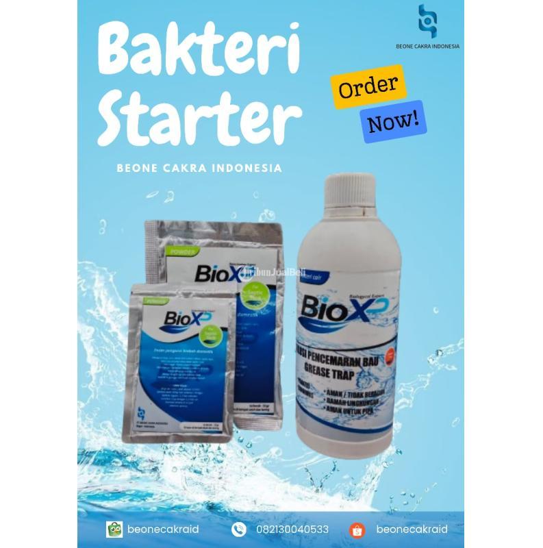 Bakteri Starter Beone Cakra Indonesia di Bogor - Tribun JualBeli