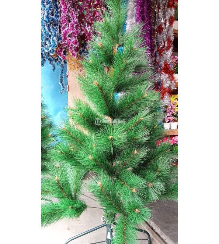 Pohon Natal Cantik Ready Harga Murah Di Sikka Tribun Jualbeli