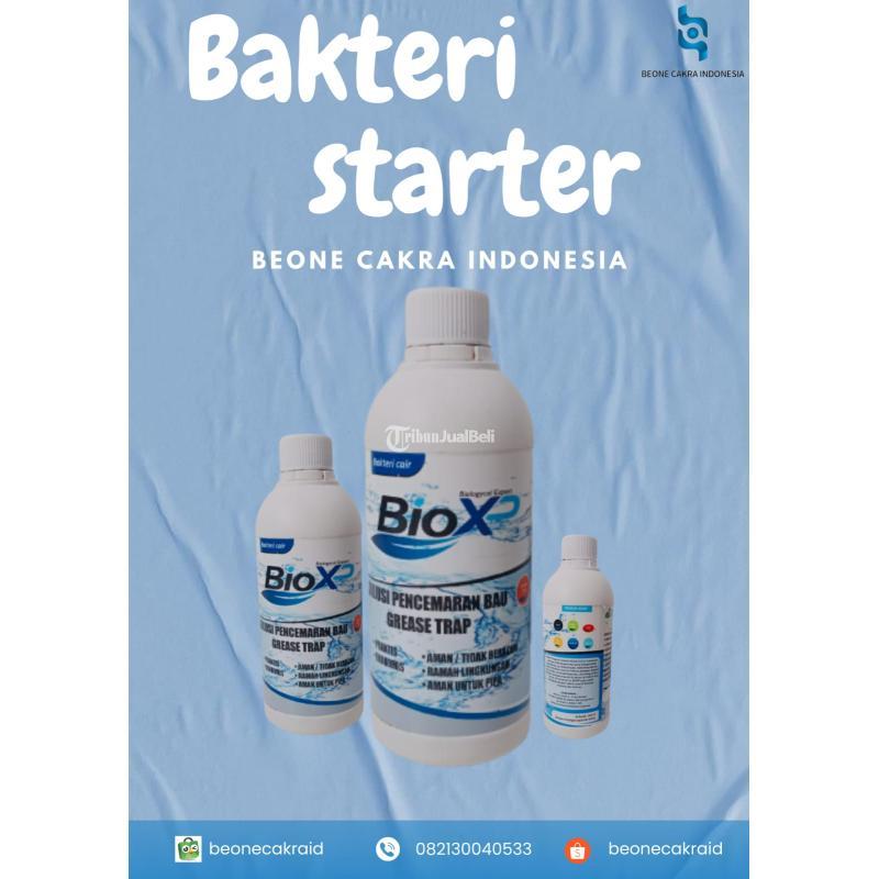 Bakteri starter promo 12.12 Beone Cakra Indonesia di Bogor - Tribun ...