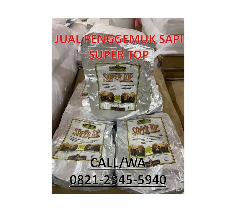 Produsen Obat Penggemuk Sapi di Kediri Kota - Tribun JualBeli