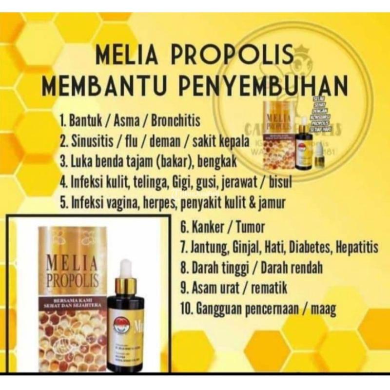 Melia Propolis Original 100 Asli 55 ML dan 6 ml Kemasan Terbaru Bpom ...