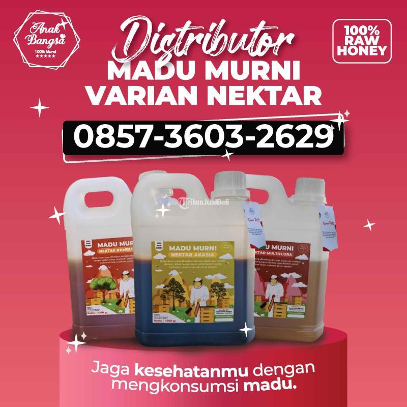 Supplier Madu Murni Nektar Varian Rasa Macam di Macam - Tribun JualBeli