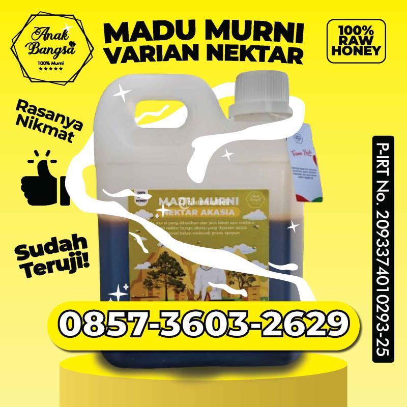 Supplier Madu Murni Nektar Varian Rasa Macam di Macam - Tribun JualBeli