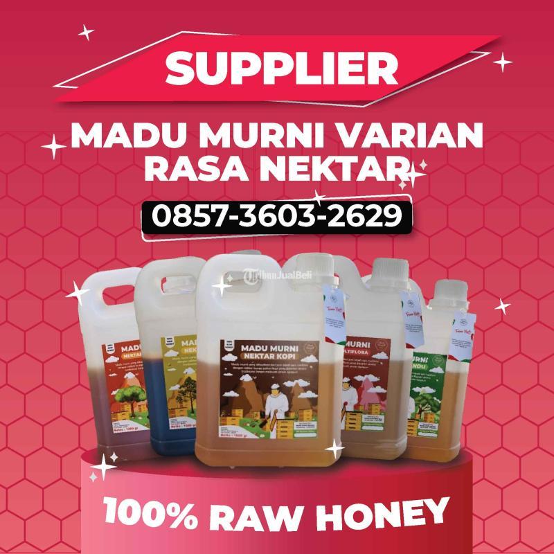 Supplier Madu Murni Nektar Varian Rasa Macam di Macam - Tribun JualBeli