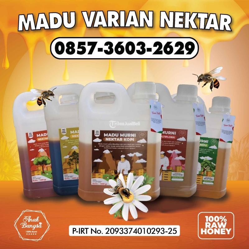 Distributor Madu Varian Nektar Resmi Berkualitas di Lamongan - Tribun ...