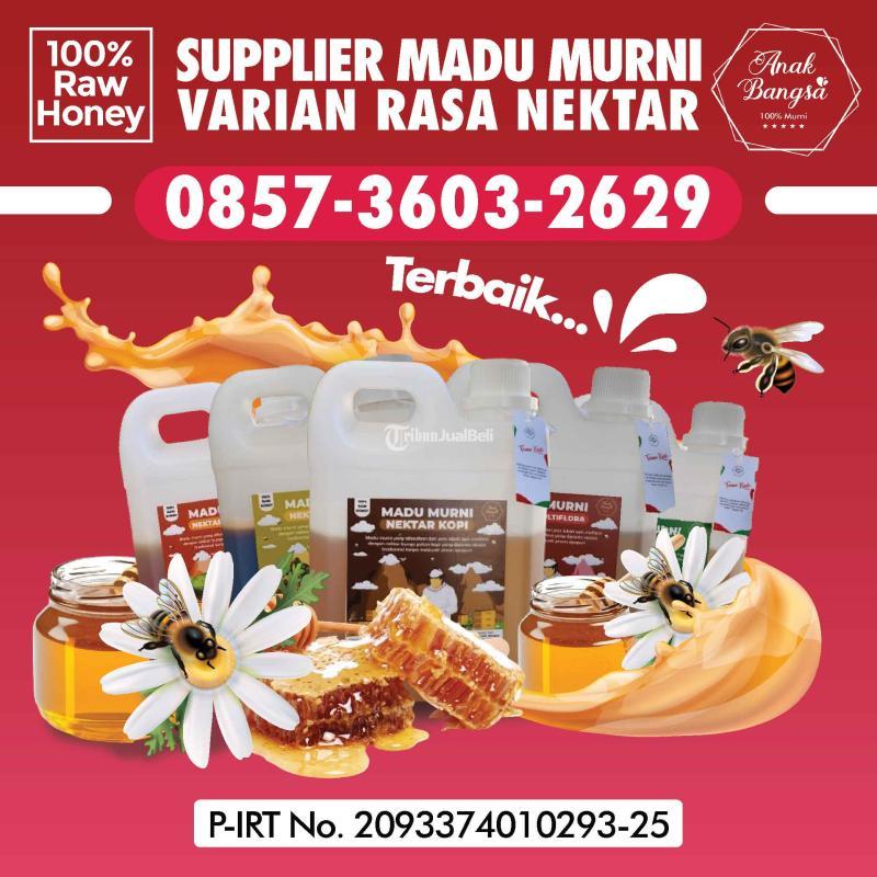 Supplier Madu Murni Nektar Varian Multiflora Randu Akasia Kopi Rambutan ...
