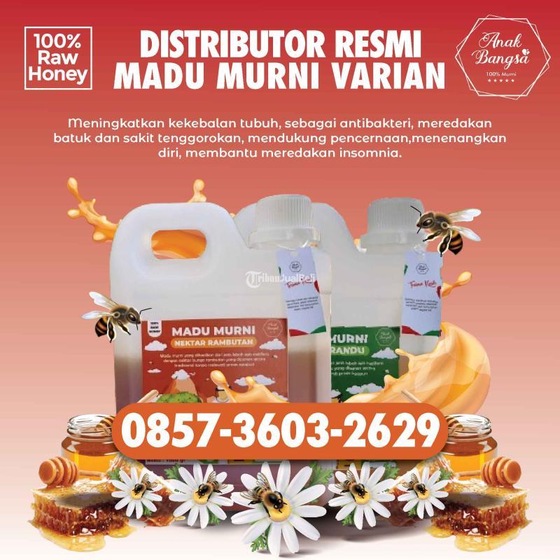 Supplier Madu Murni Nektar Varian Multiflora Randu Akasia Kopi Rambutan ...