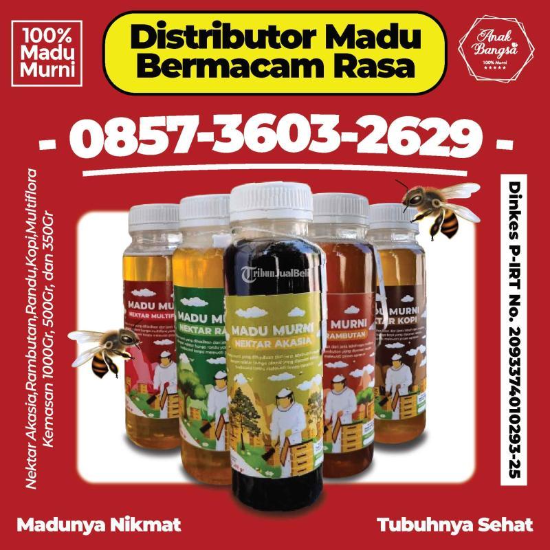 Supplier Madu Murni Nektar Varian Akasia Randu Multiflora Rambutan Kopi ...