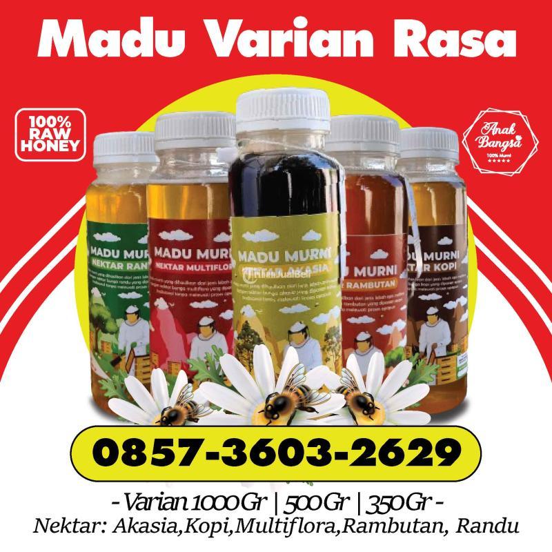 Supplier Madu Murni Nektar Varian Akasia Randu Multiflora Rambutan Kopi ...