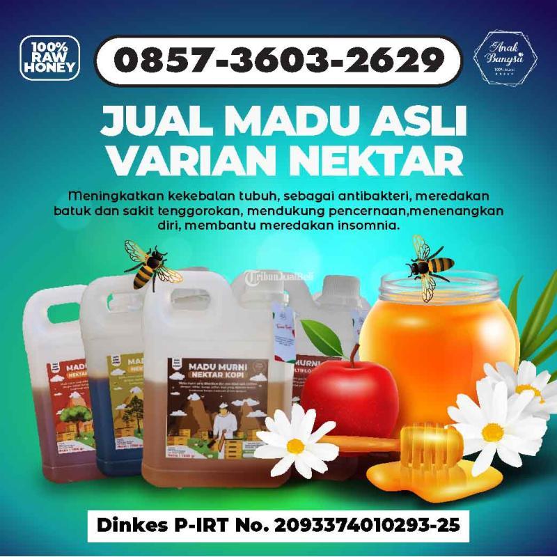 Distributor Grosir Madu Asli Murni Varian Nektar Bermacam Rasa Dari ...