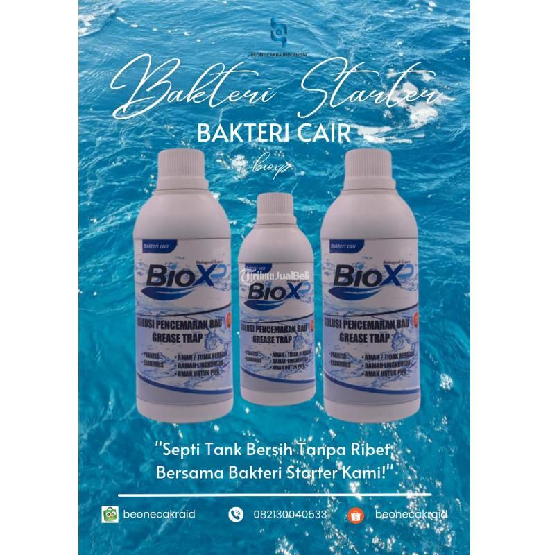 Promo akhir tahun bakteri starter BEONE CAKRA INDONESIA - Tribun JualBeli