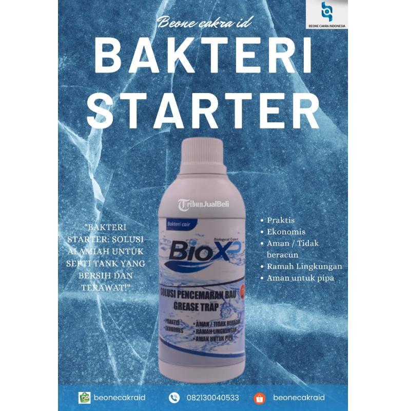 Promo akhir tahun bakteri starter BEONE CAKRA INDONESIA - Tribun JualBeli