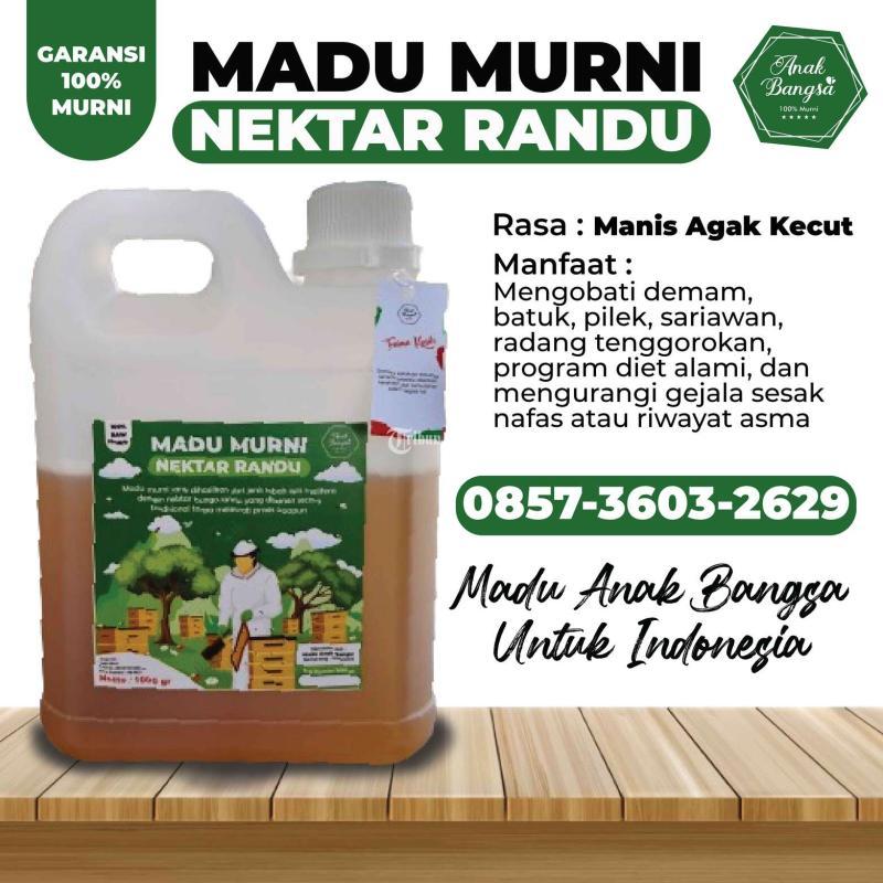 Supplier Madu Asli Murni Nektar Varian Akasia Multiflora Randu Rambutan ...