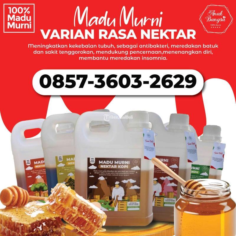 Supplier Madu Asli Murni Nektar Varian Akasia Multiflora Randu Rambutan ...