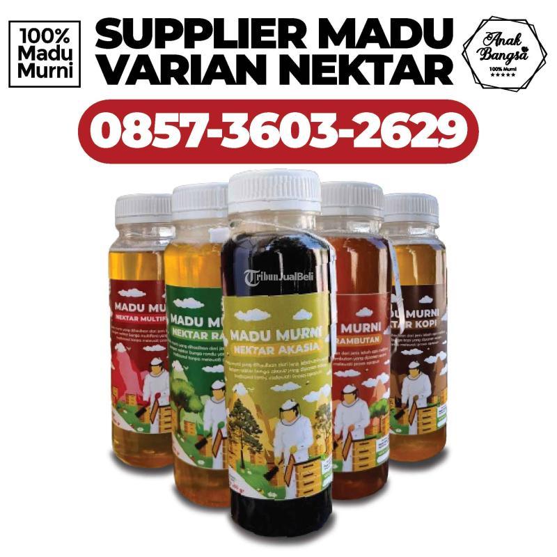 Distributor Madu Asli Murni Nektar Varian Rasa Bermacam di Ngawi ...
