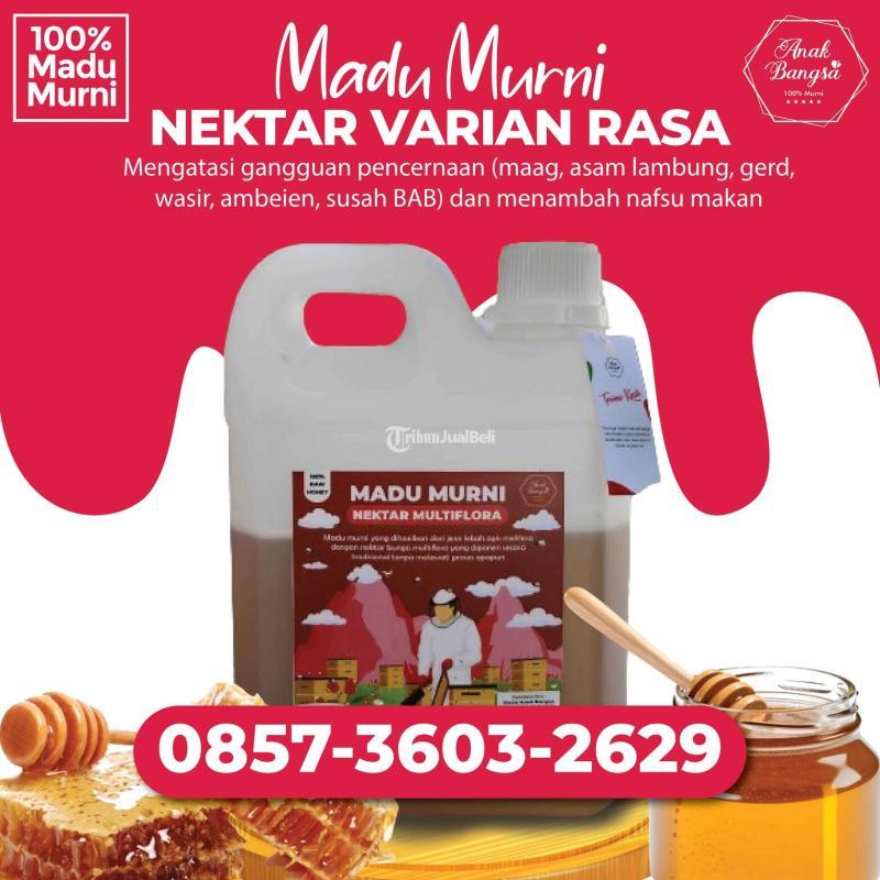Distributor Madu Asli Murni Nektar Varian Rasa Bermacam di Ngawi ...
