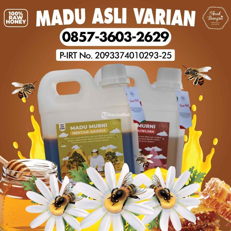 Distributor Madu Asli Murni Nektar Varian Rasa Bermacam di Ngawi ...
